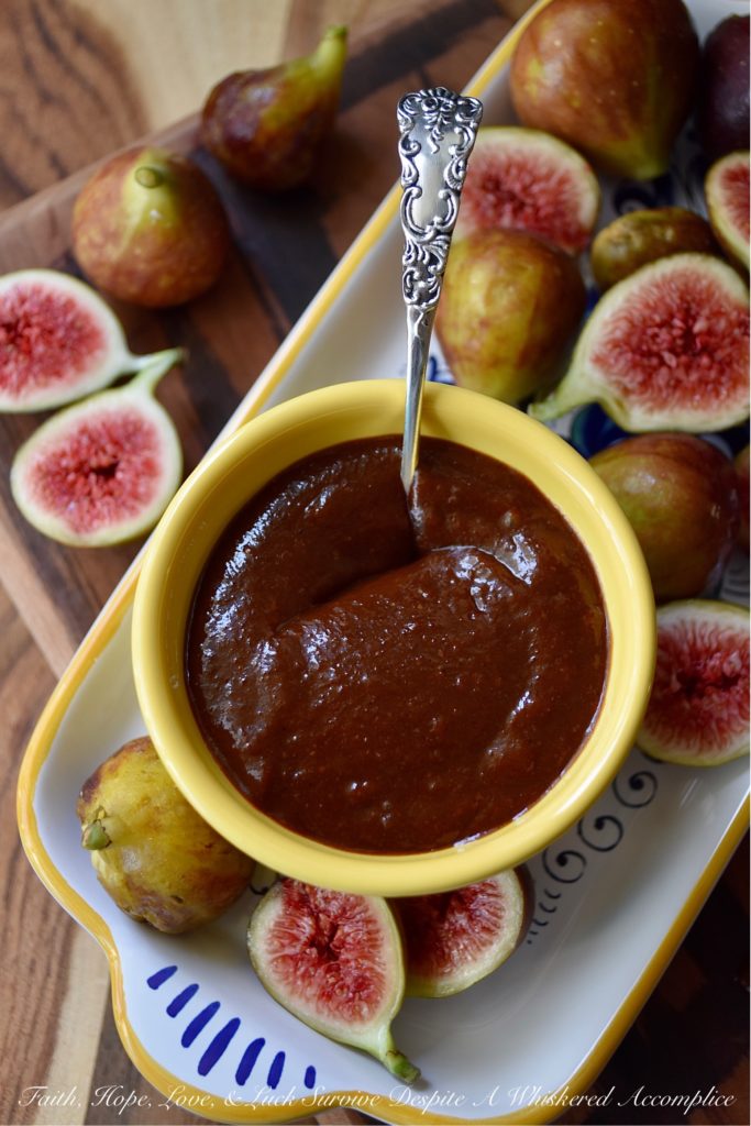 Sweet & Spicy Fresh Fig Barbecue Sauce